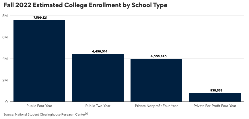 Student Demographics in Higher Education