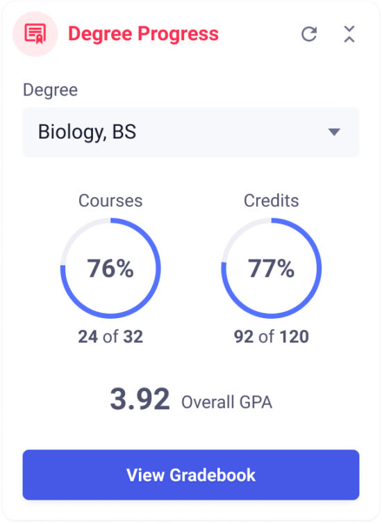 Custom Student Portal Widgets - Pathify